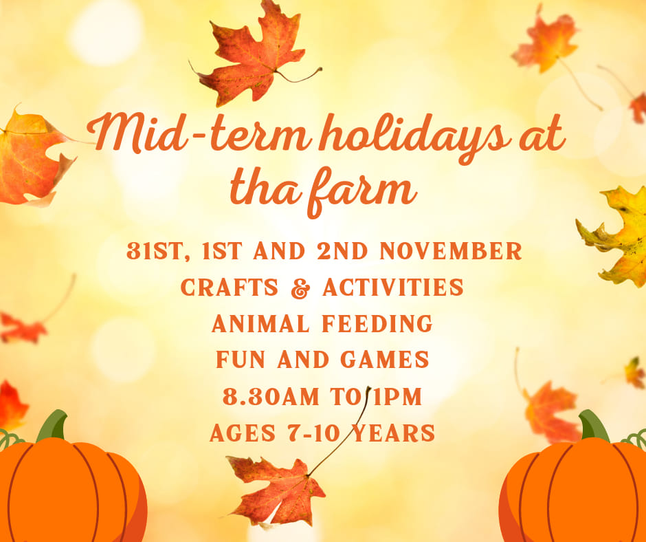 Mid-term holidays at the farm. - Malta Baby & Kids